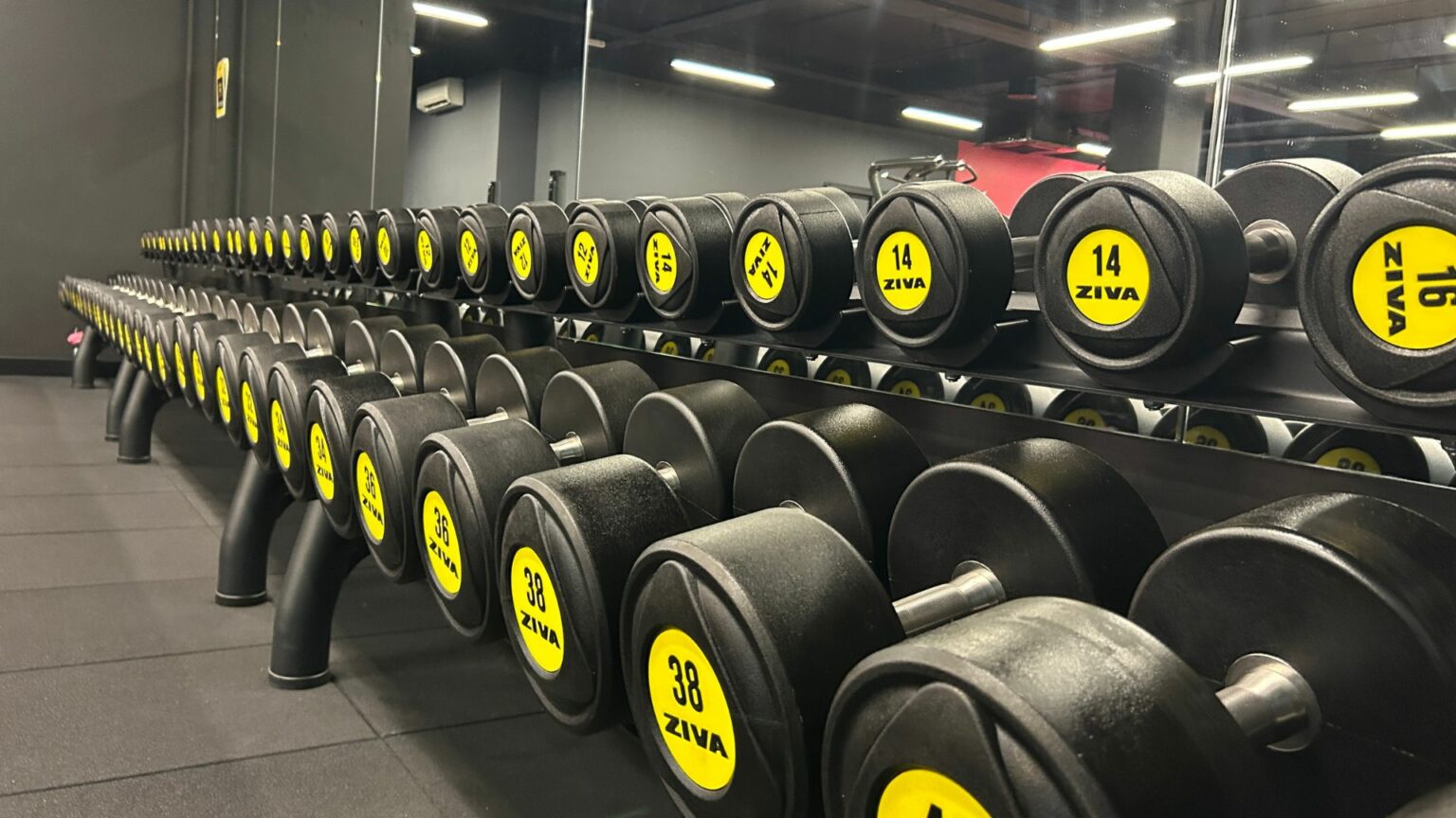 GoFit Gym | Smart, Affordable Fitness across South East Asia