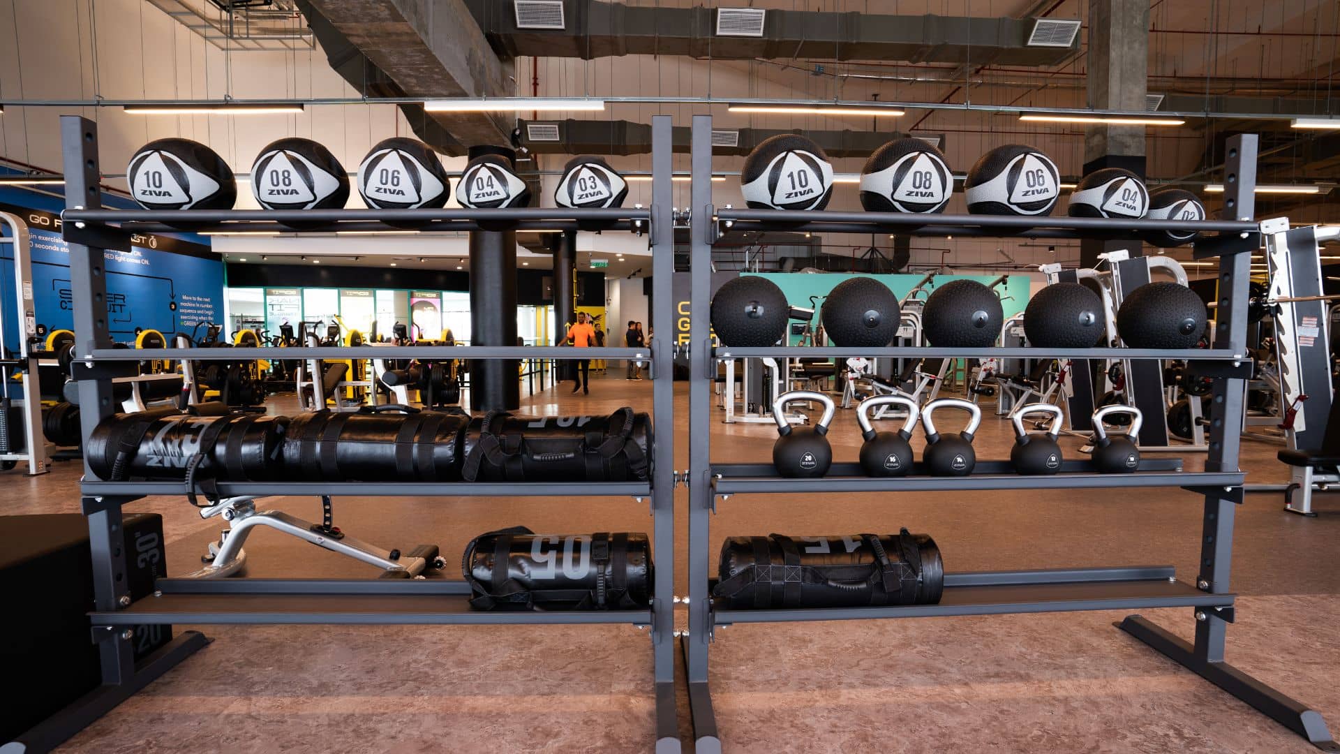 The Ultimate Beginner’s Gym Equipment Guide (No Judgement Zone)
